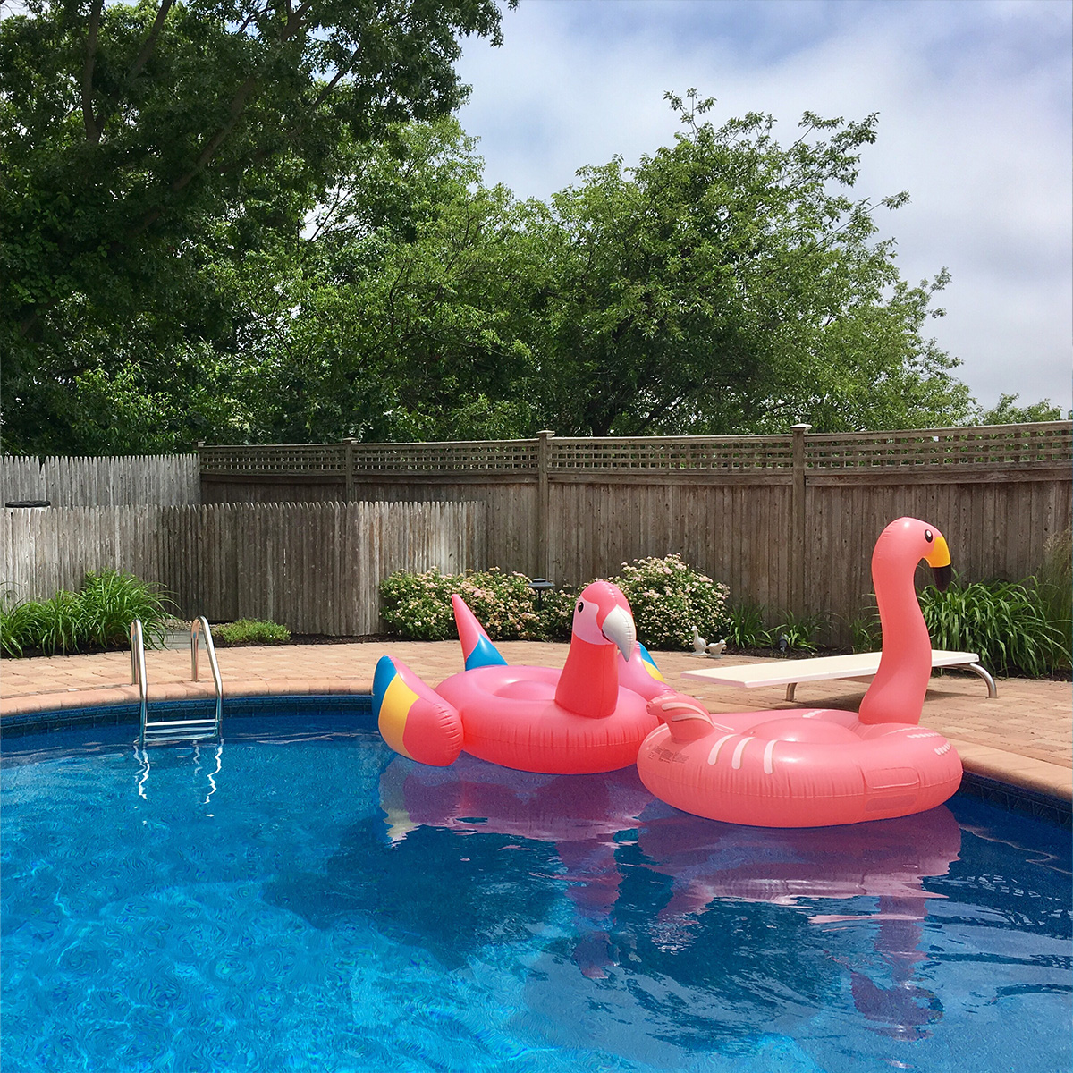 Florida Residential Pool Services | Jacksonville and St. Johns